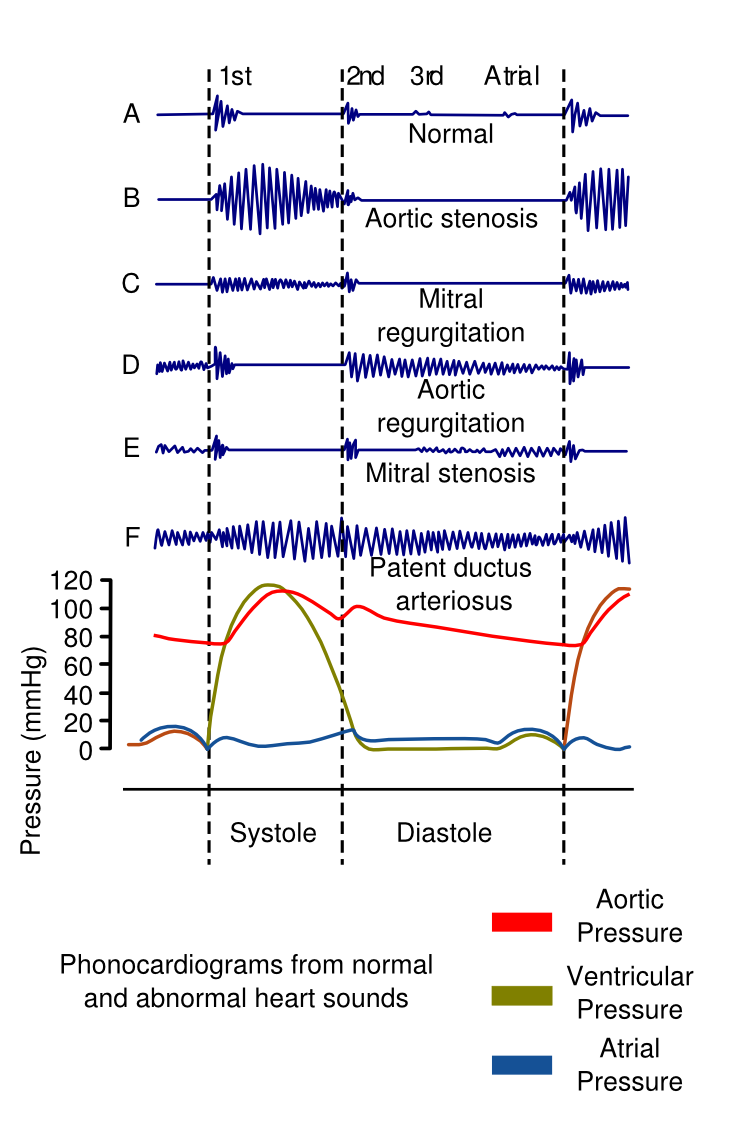 Physical Examination - Textbook of Cardiology