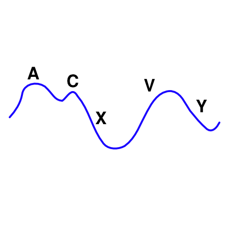 Physical Examination - Textbook of Cardiology