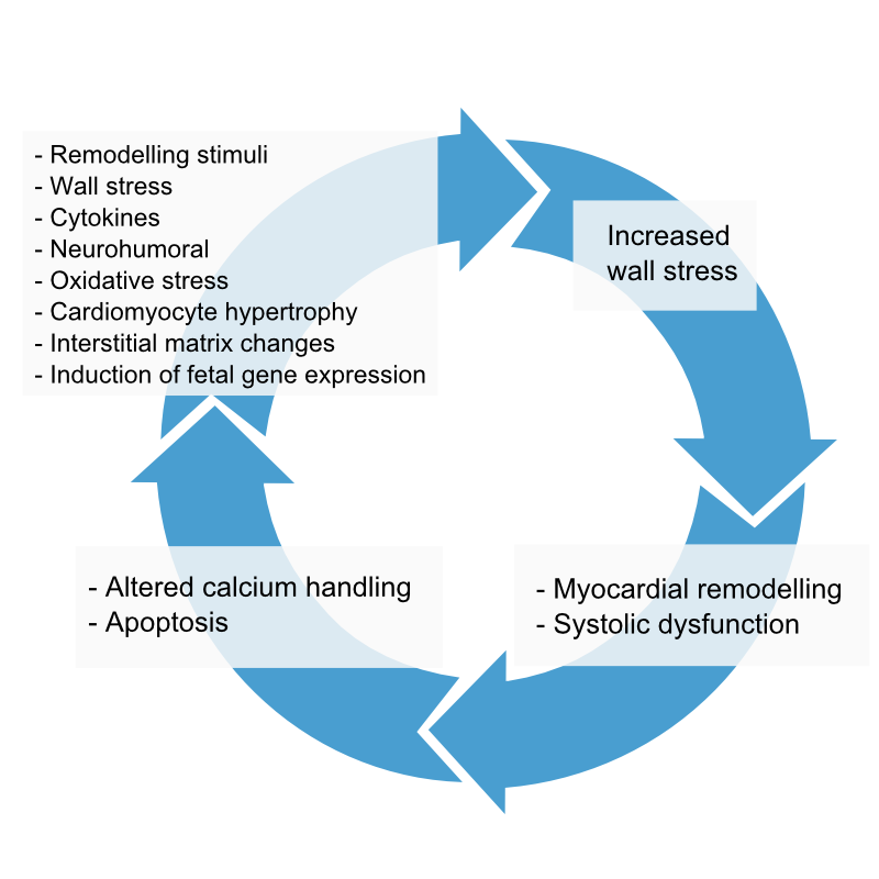 Myocardial Disease - Textbook of Cardiology