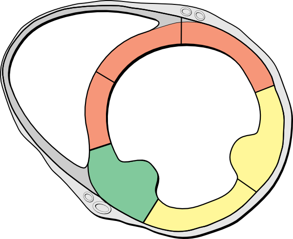 Diagnostic Testing - Textbook of Cardiology